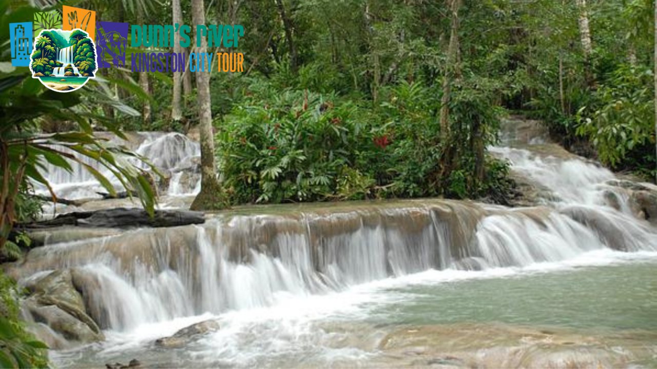 Book A Tour - Kingston City Guided Tours