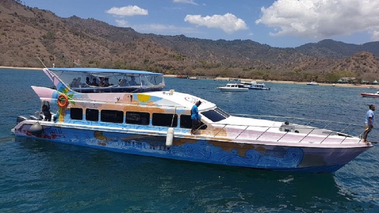 1- day Komodo island Tour hopping around by Speed Boat